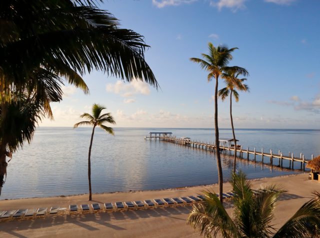 On the road again || Best Summer Road Trips and drivecations from Tampa ...